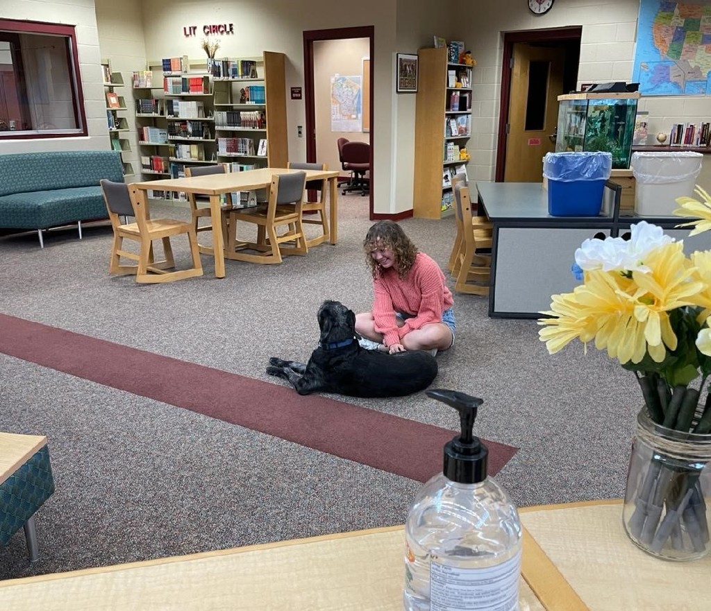 Live Feed | Brillion Public Schools